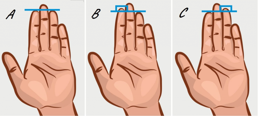 Co o vás řekne vaše ruka? Podívejte se délku vašich prstů a jejich ...