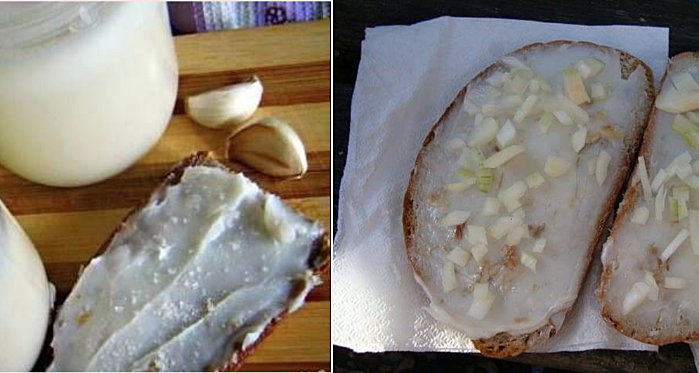 Tajemství o používání sádla. Jak ho využít správně? - ProSvět.cz