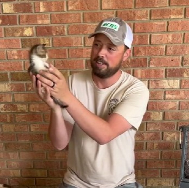 catmob1 - ProSvět.cz