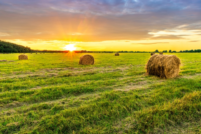 Hlavní postavy ze "Slunce, seno, jahody" po více jak 30 letech. Takhle ...